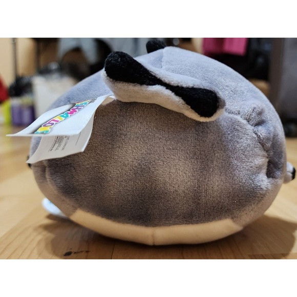 Kellytoy | Toys | Squishmallow 5 Gordon Shark Walgreens Exclusive Gray ...